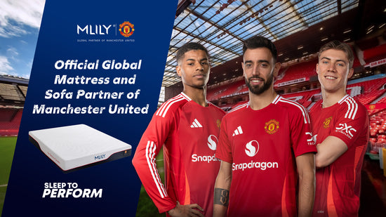 MLILY – MLILY Malaysia