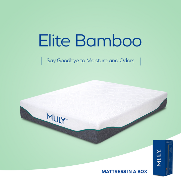 MLILY MALAYSIA – MLILY Malaysia